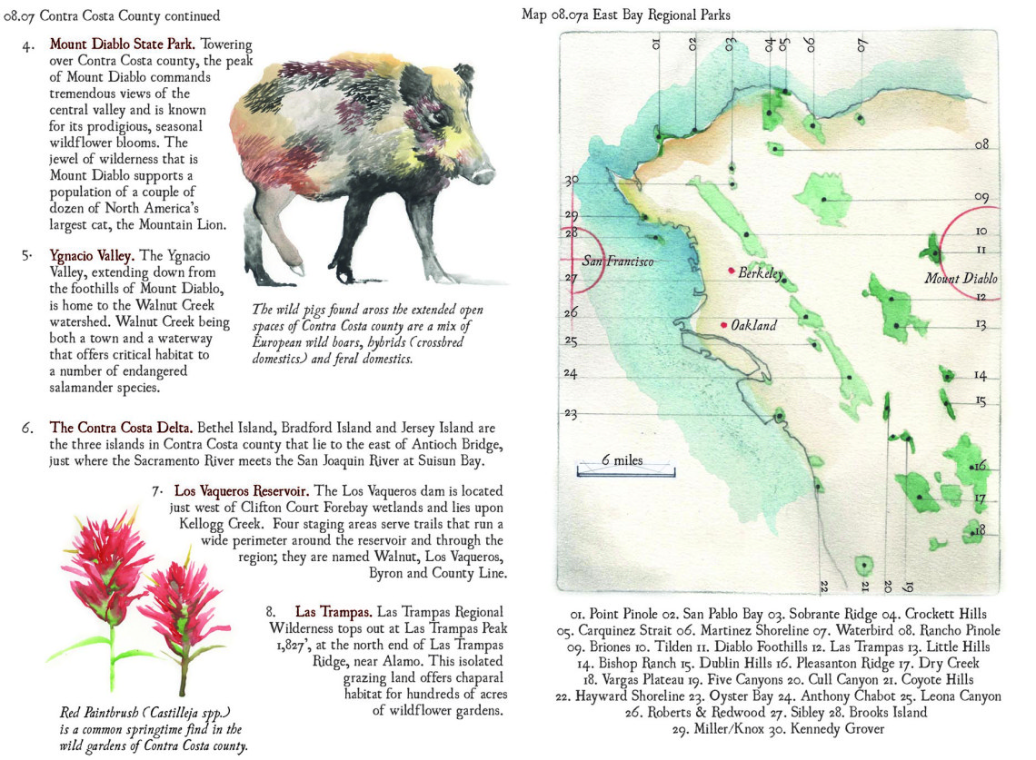 The California Field Atlas by Obi Kaufmann